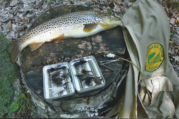 The timeless trout and its legacy | News, Sports, Jobs - Daily Press